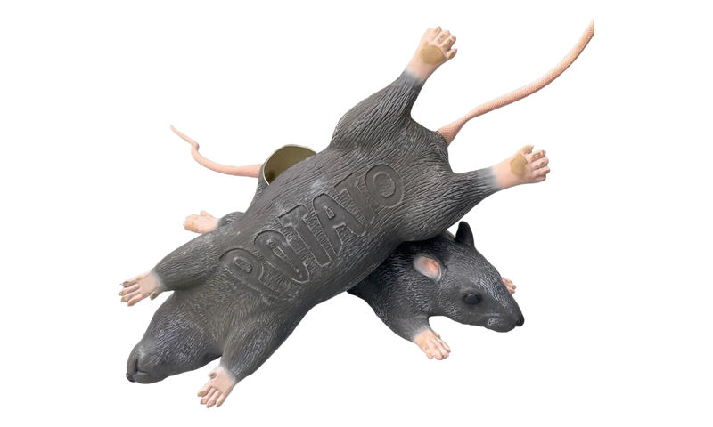 Imran Potato - Rat Slides