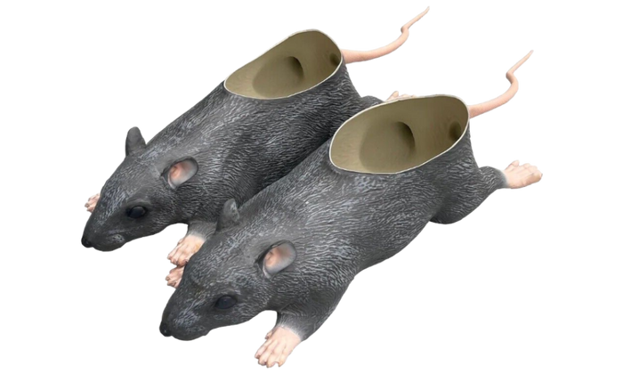 Imran Potato - Rat Slides